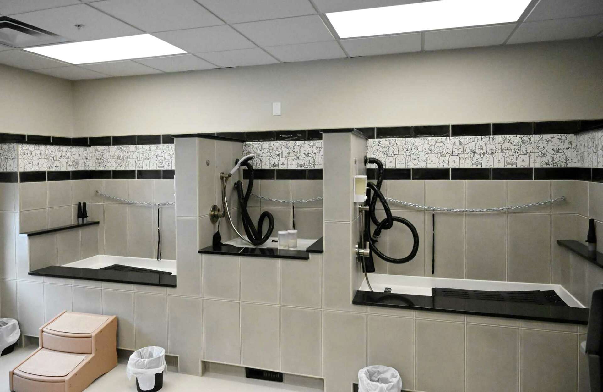 Charlie's Stay + Play, a doggy day care, opens in Malta