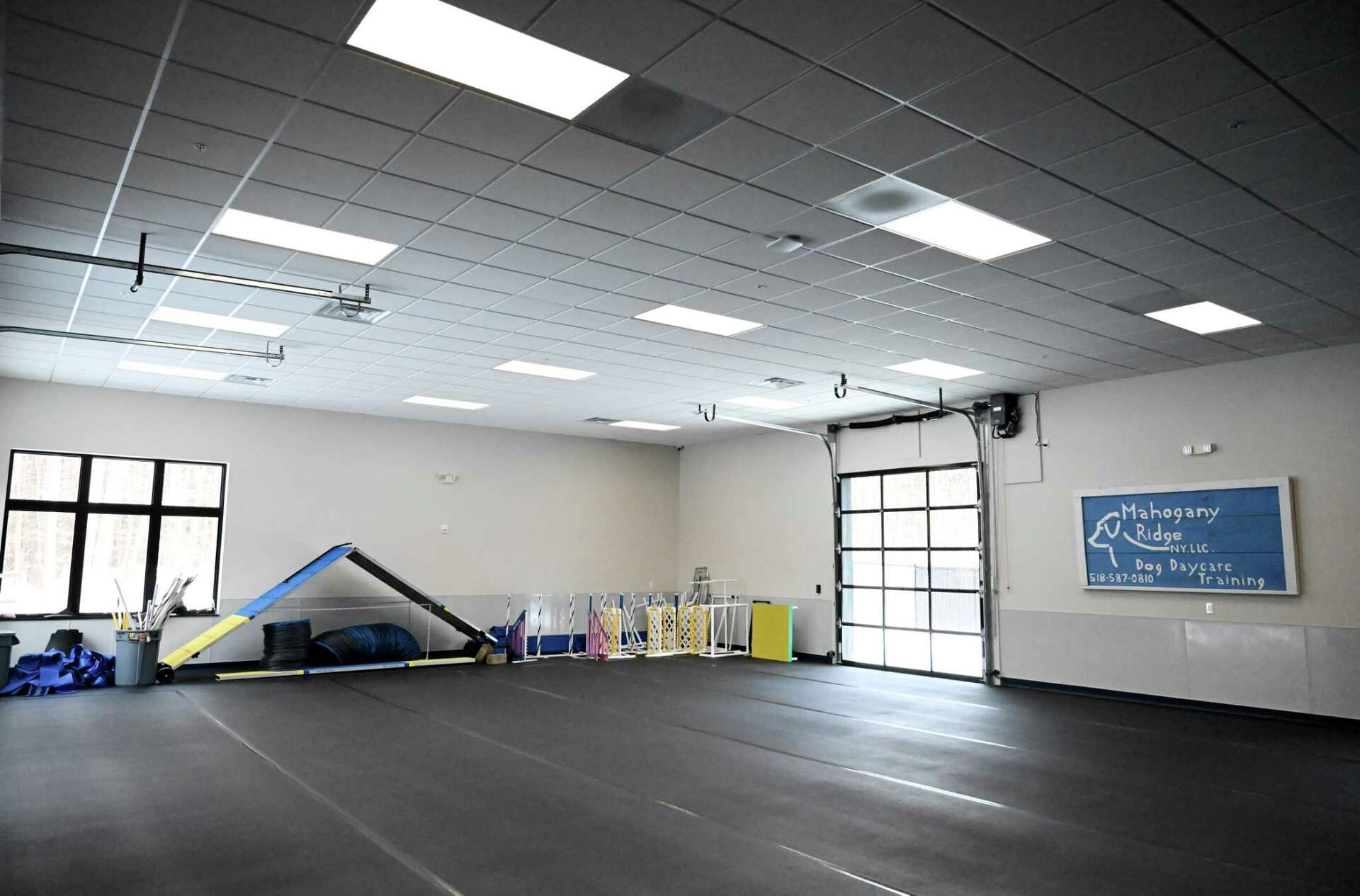 Charlie's Stay + Play, a doggy day care, opens in Malta