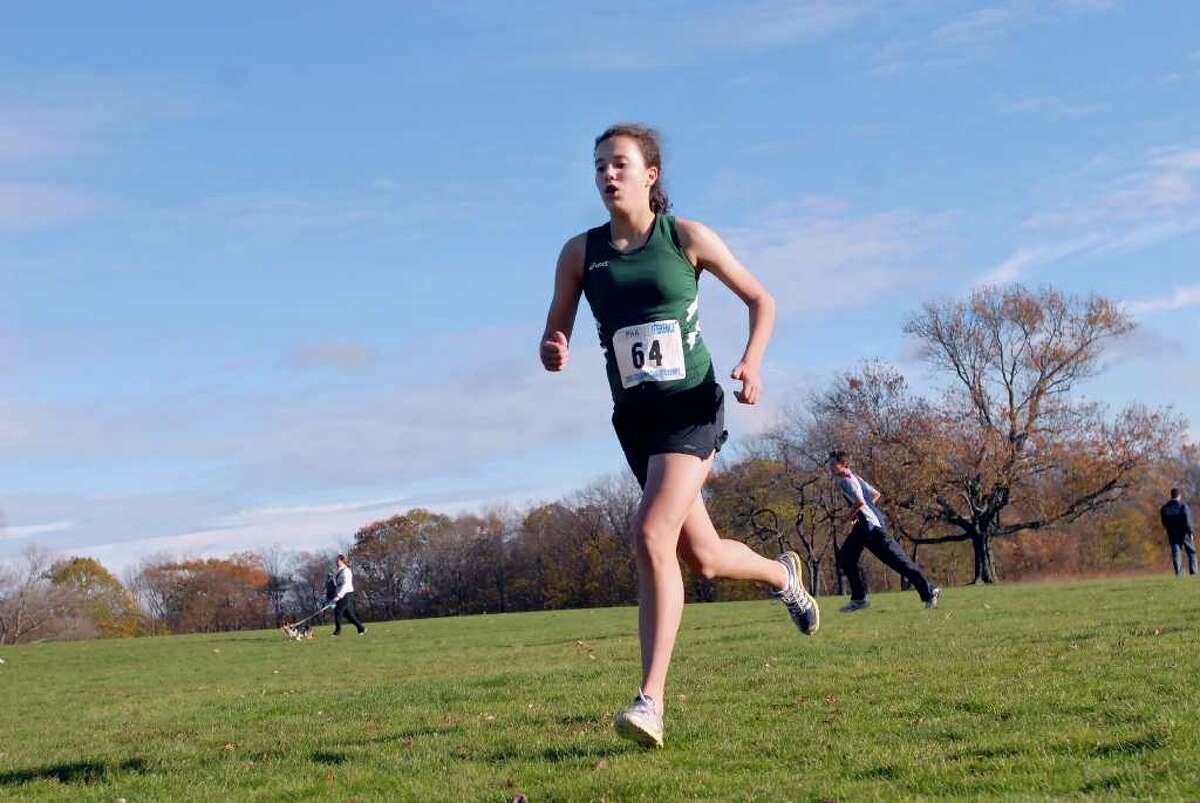 King girls 4th at FAA cross country championships