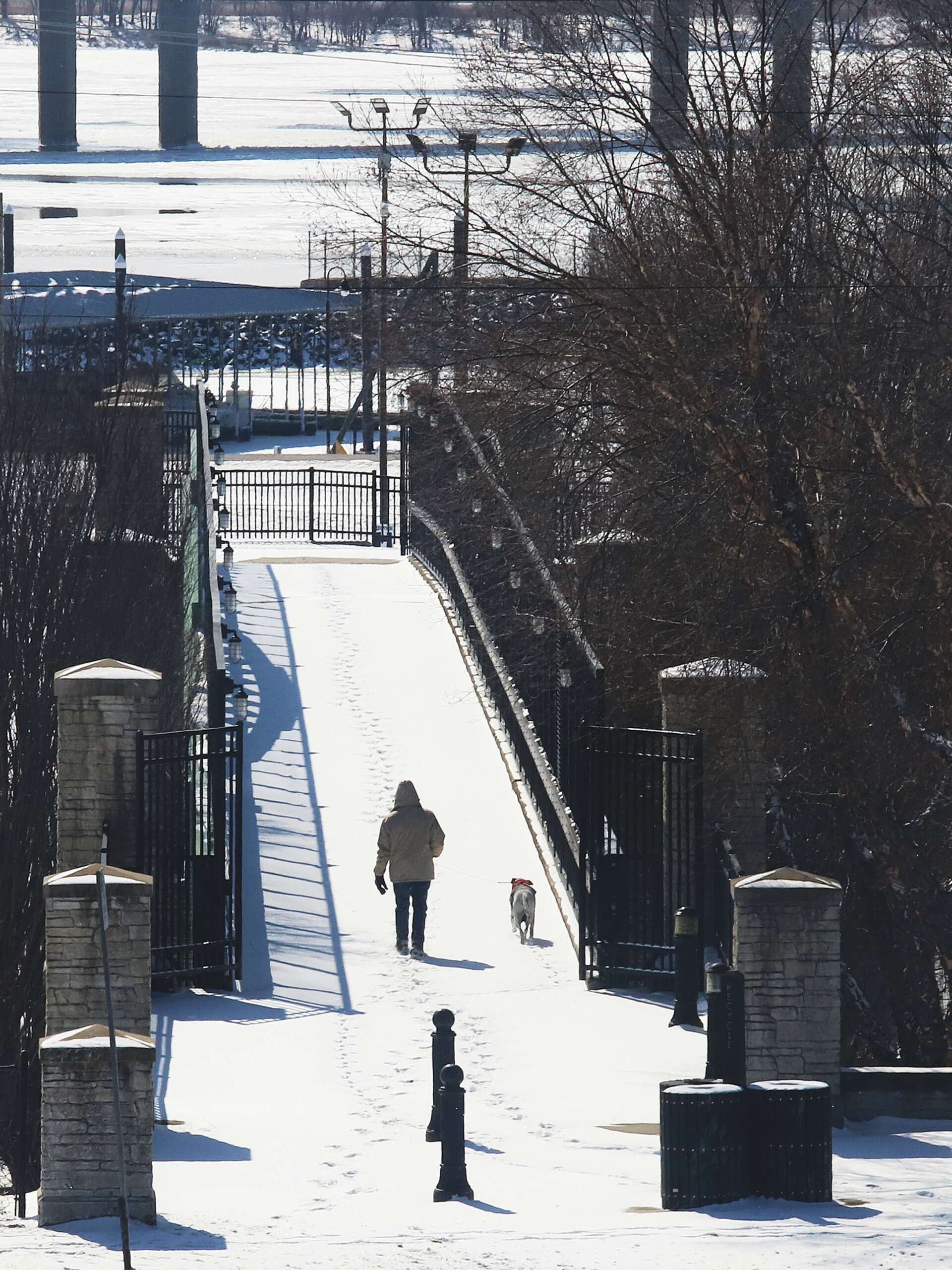 Man and dog take snowy stroll in Alton's Riverfront Park