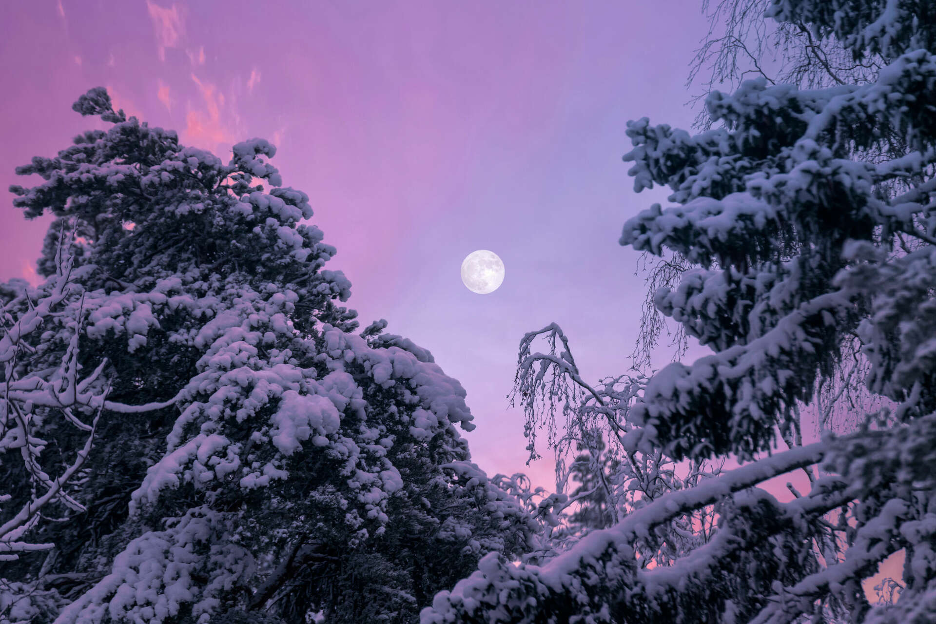 Horoscope for Monday, 2/24/25 by Georgia Nicols