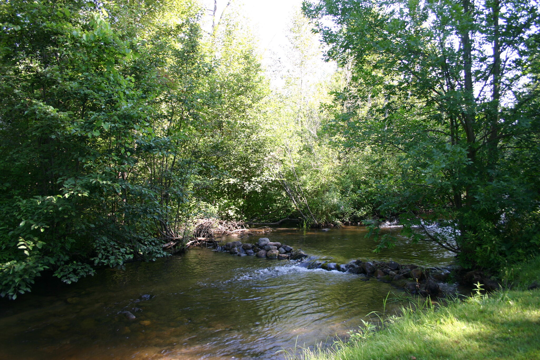 Muskegon River Watershed Assembly to host events in Big Rapids
