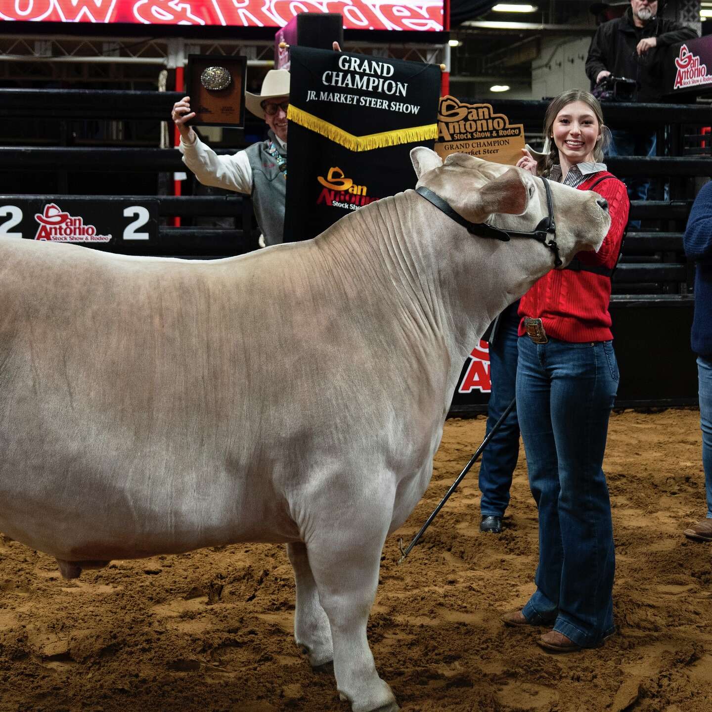 San Antonio stock show Grand champion steer sells for $140,000