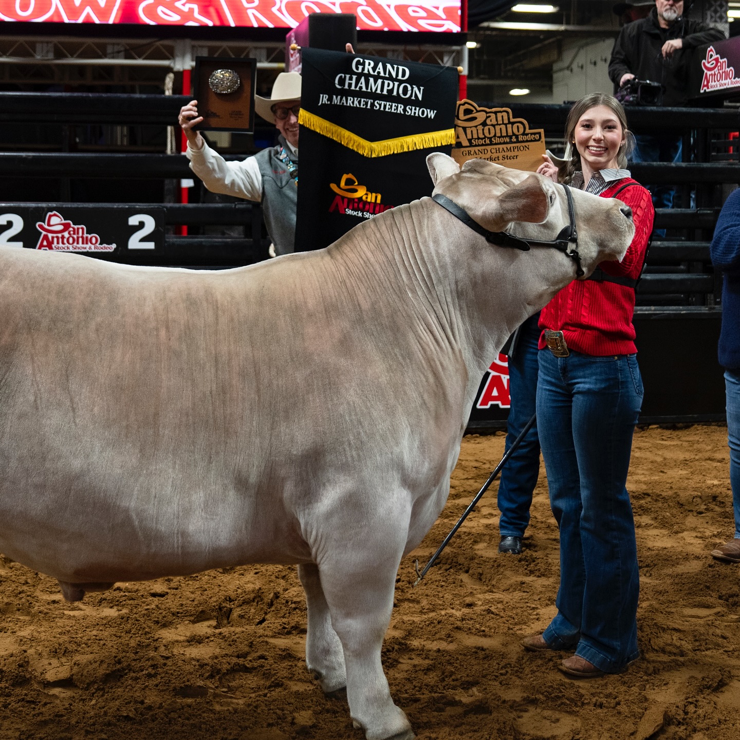 San Antonio stock show Grand champion steer sells for $140,000