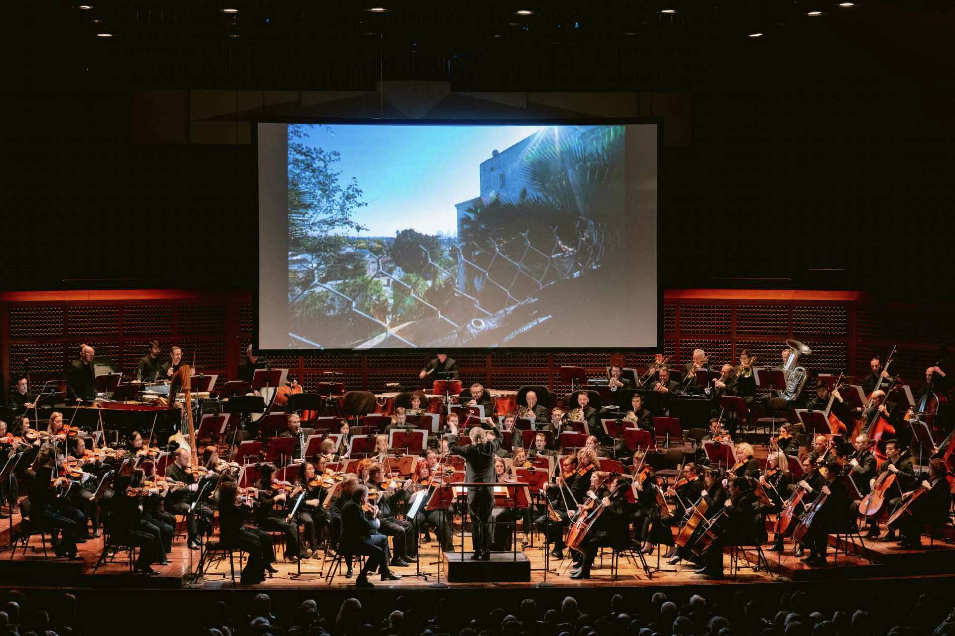 S.F. Symphony’s newly appointed principal solos in thrilling concert