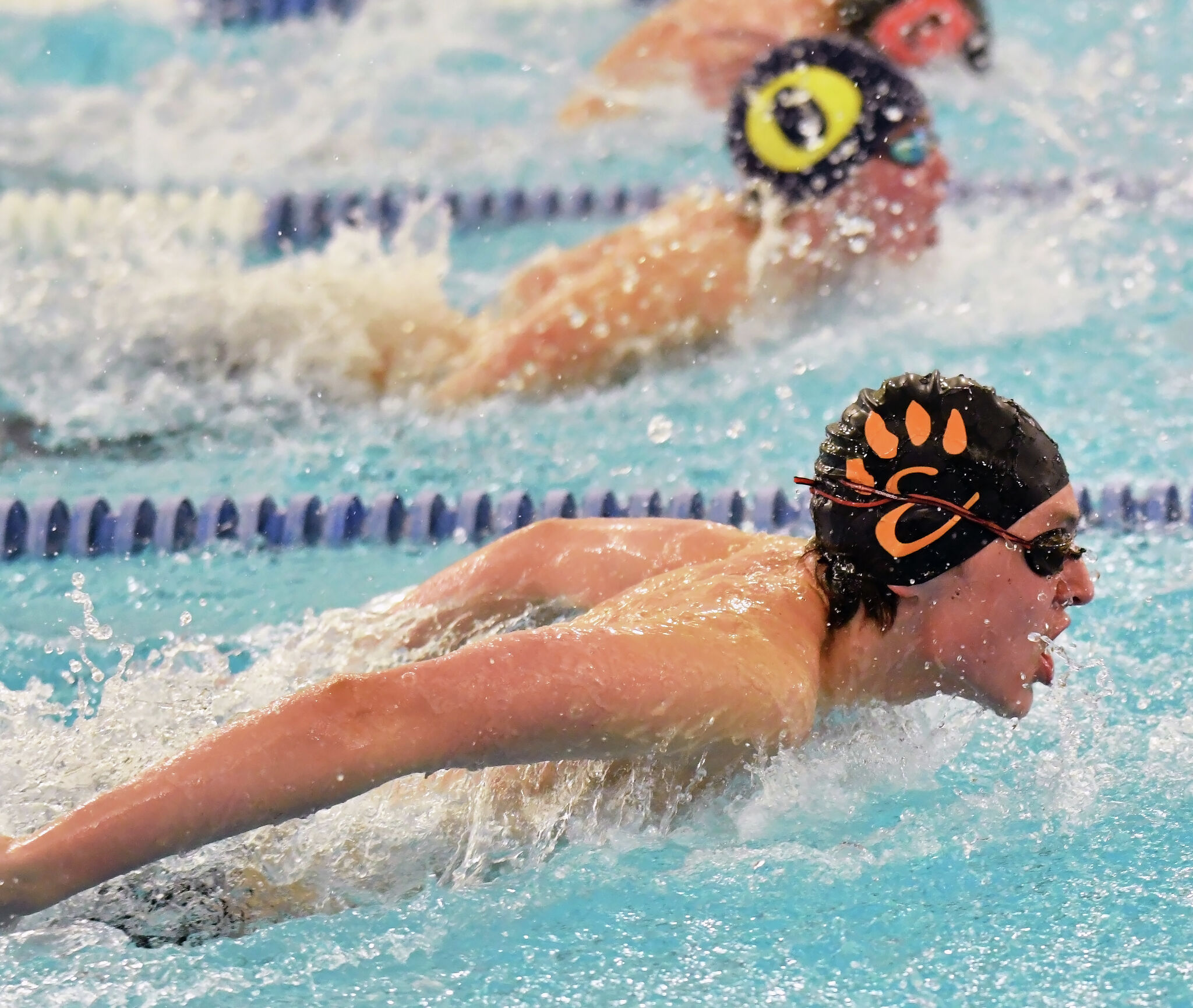 Edwardsville hosts IHSA swim sectional on Feb. 22, 2025
