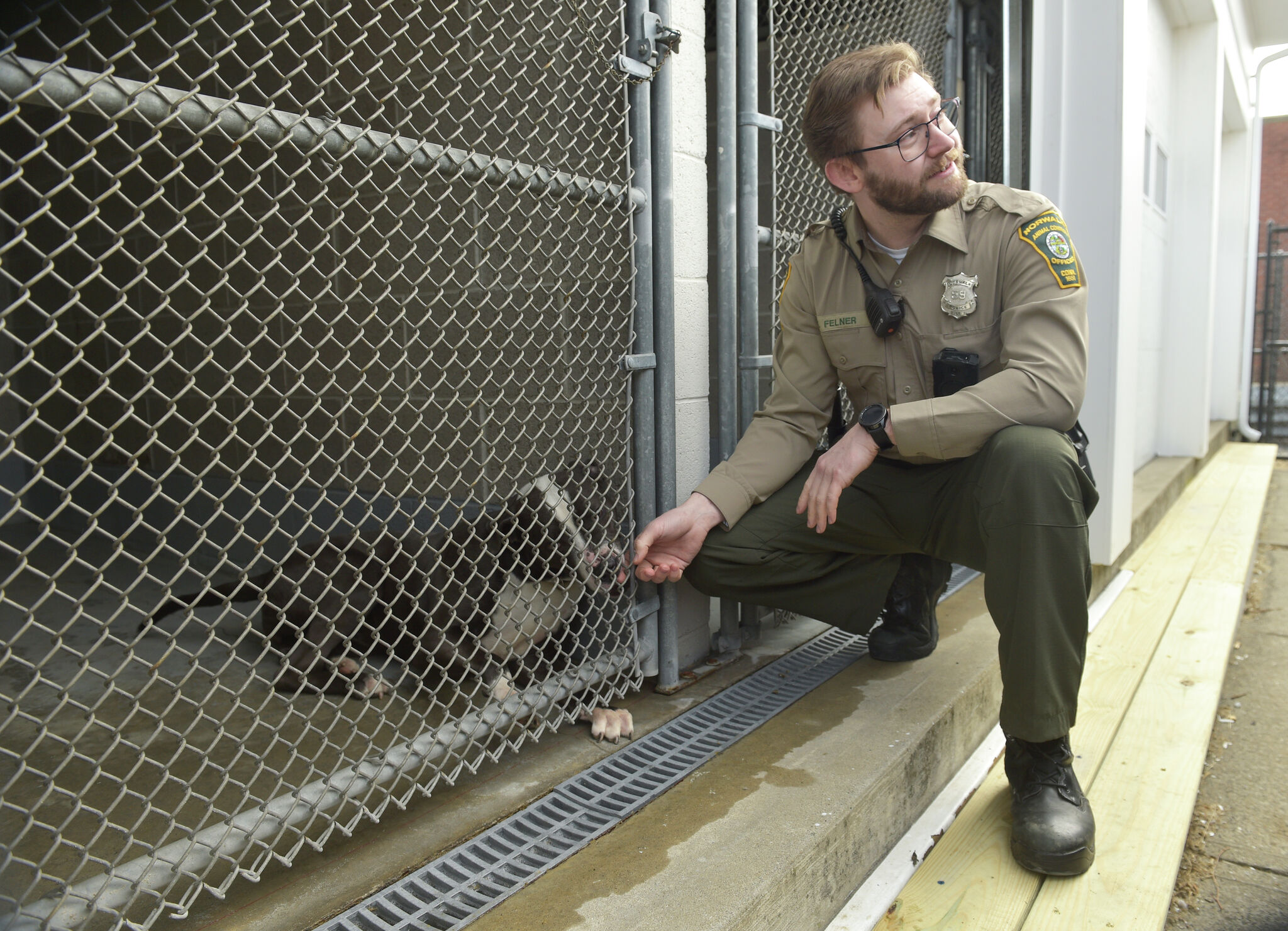 An 'angel' donates $330K for renovations at Norwalk Animal Control