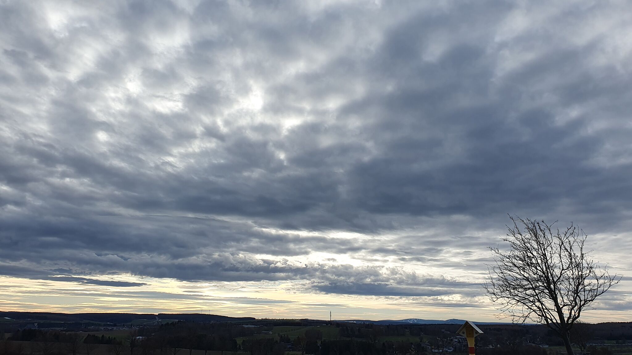 Buc-ee's' first Amarillo store set to open in early 2025