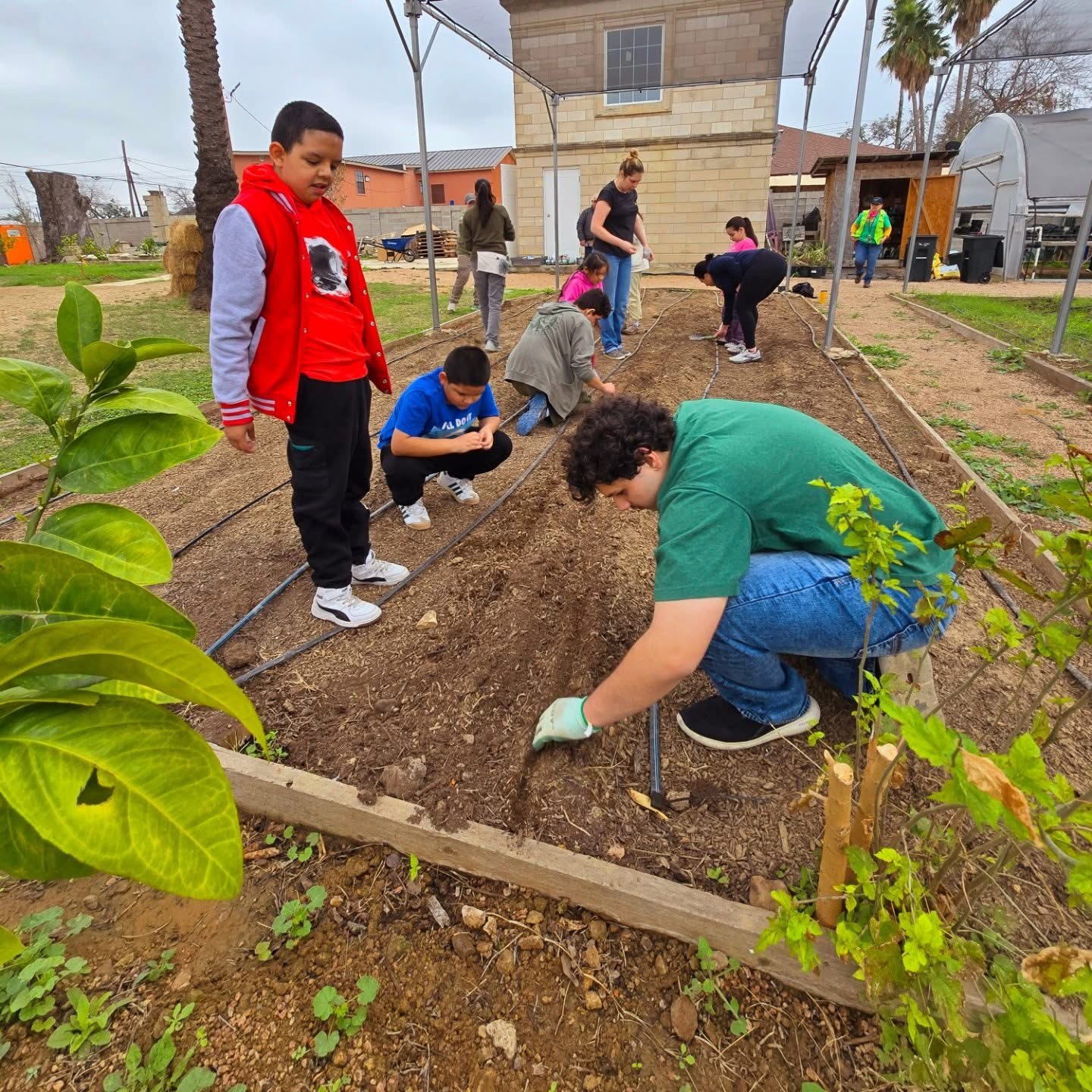 Laredo Urban Agriculture to teach basics to beginner gardeners