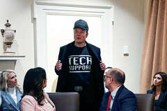 Elon Musk sat in on a Trump Cabinet meeting.