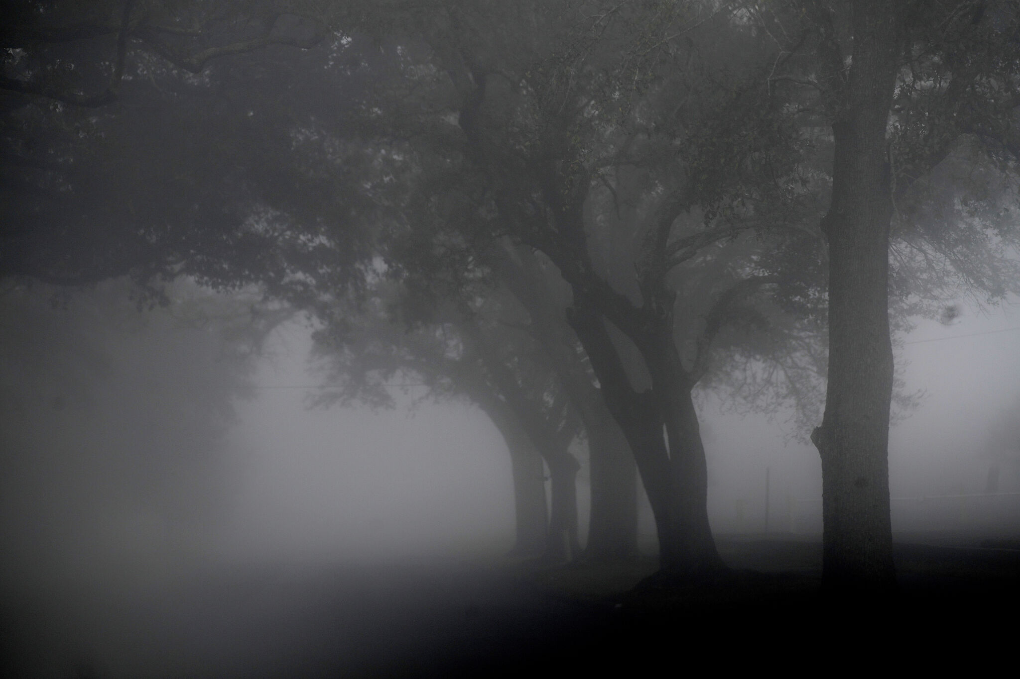 Photos show Myanmar holding its first election since the military ...
