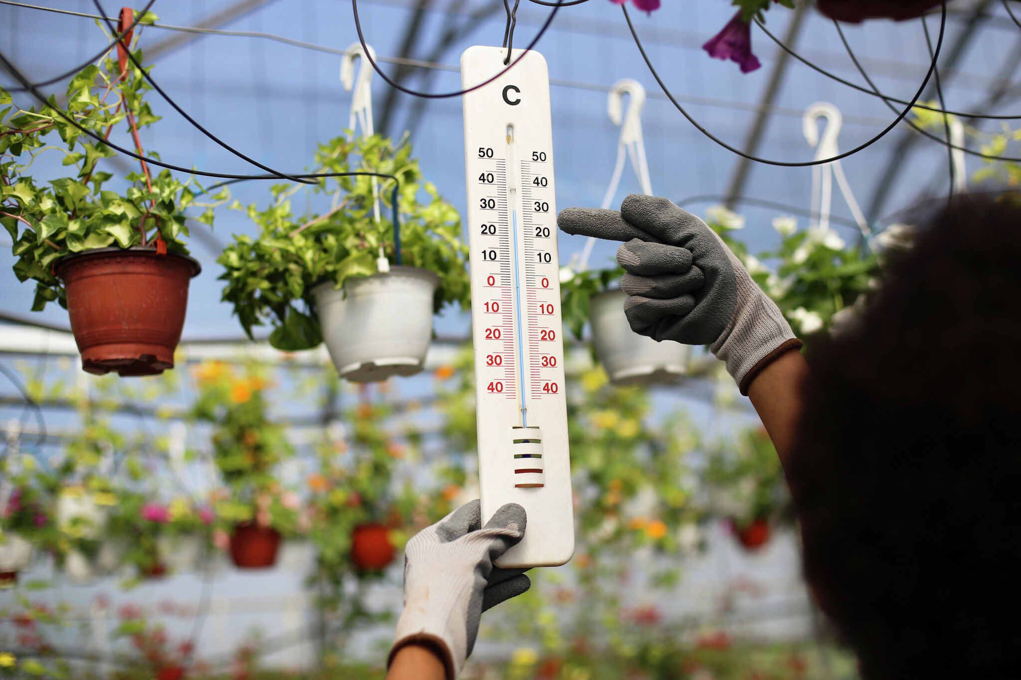 Cool temps return to South Texas. Here’s how long they'll last.