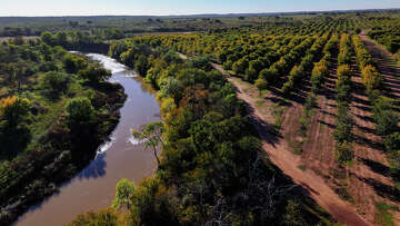 Texas pecan-farming heirs list Hill Country ranch for $25M