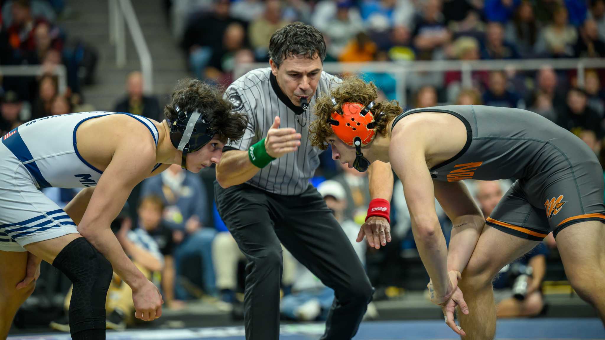Section II boys' wrestlers fall short of NYSPHSAA state titles
