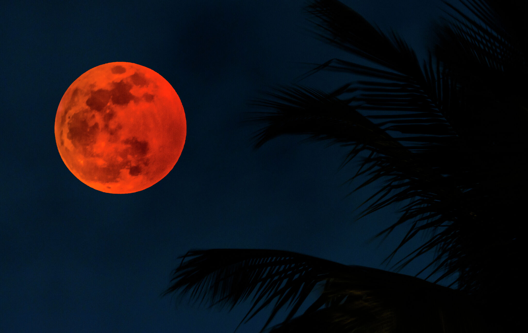 Eclipse season kicks off with rare 'Red Moon' in March 2025