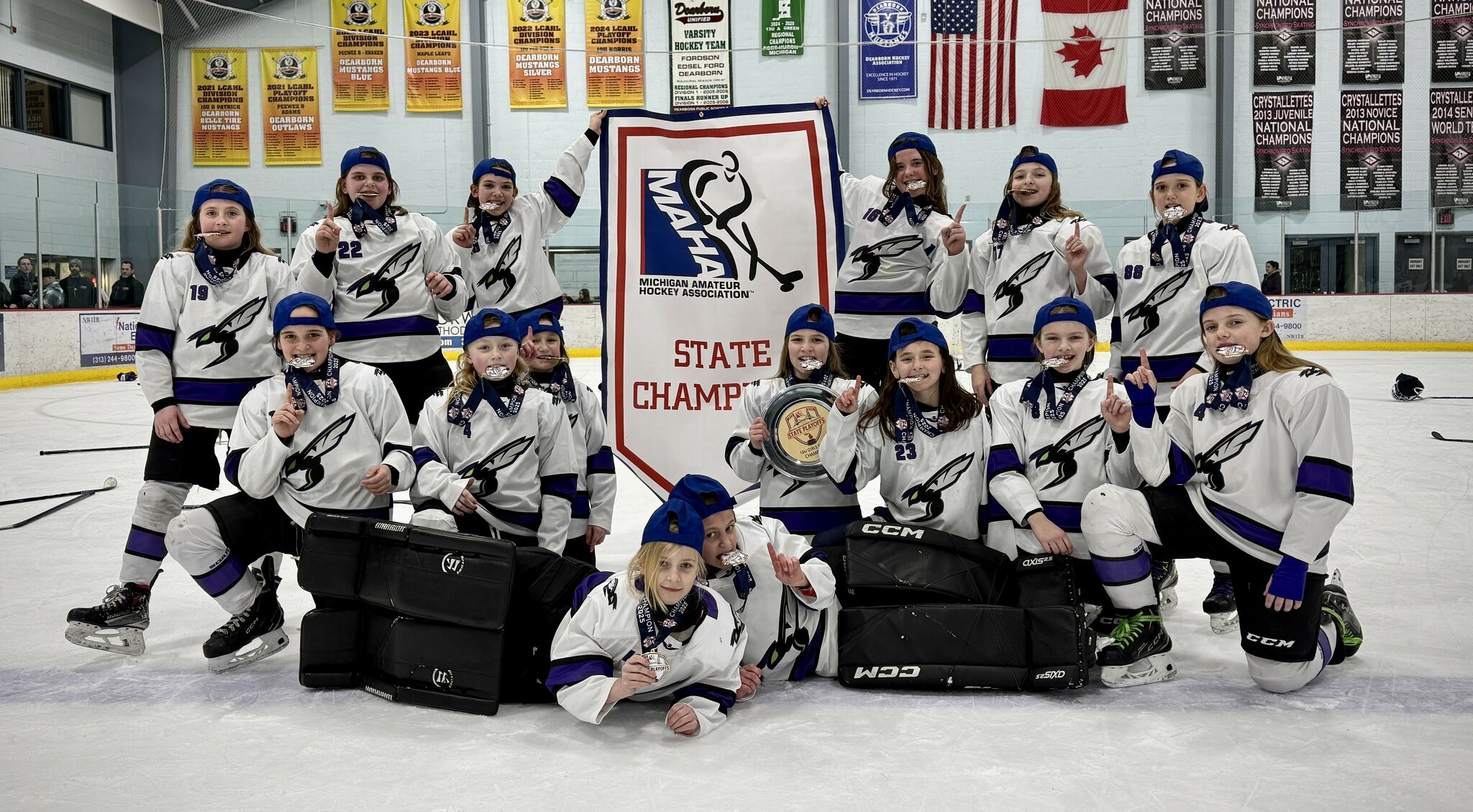 Midland Hornets win MAHA state championship