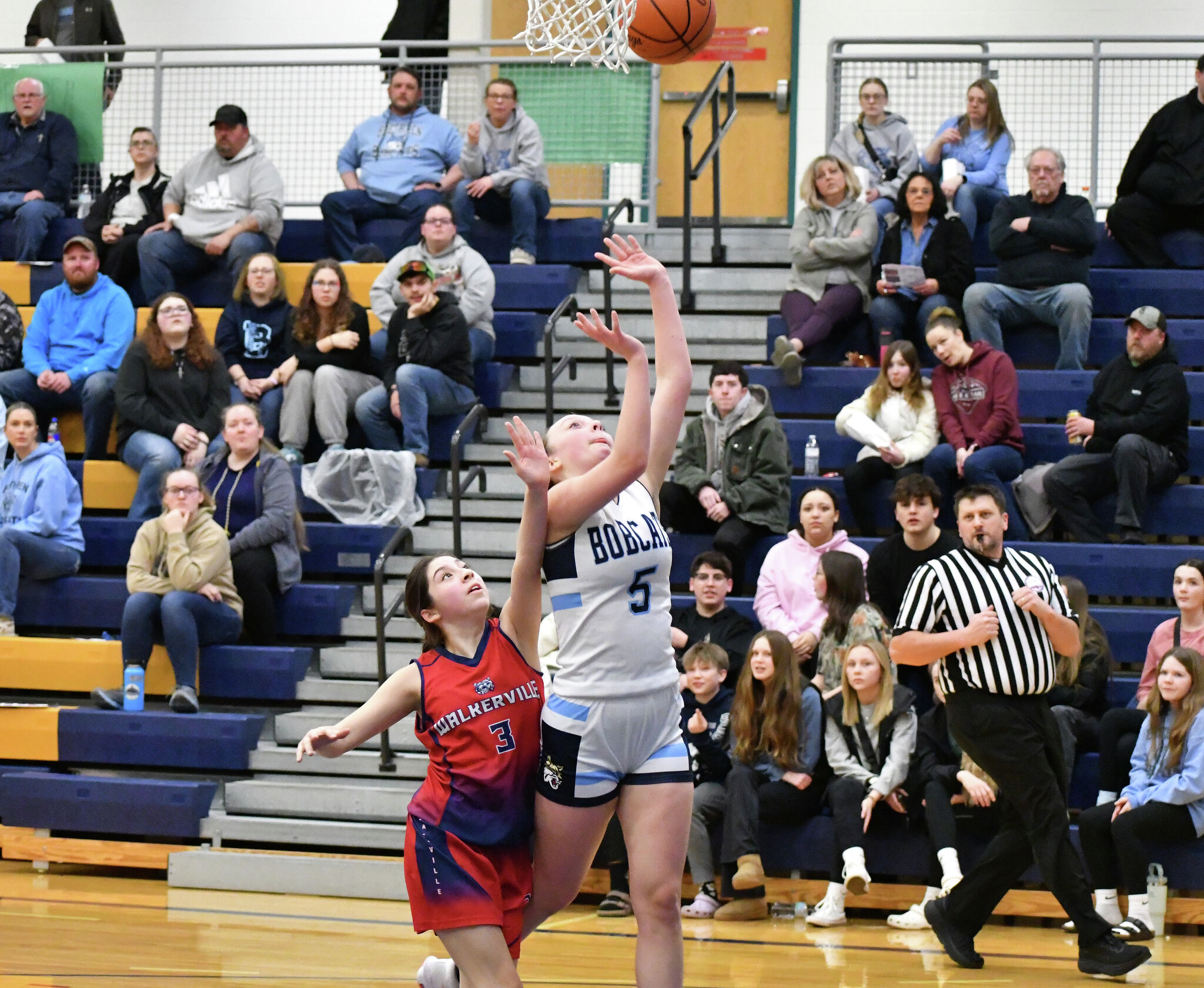 Brethren girls basketball advances after 67-21 win over Walkerville