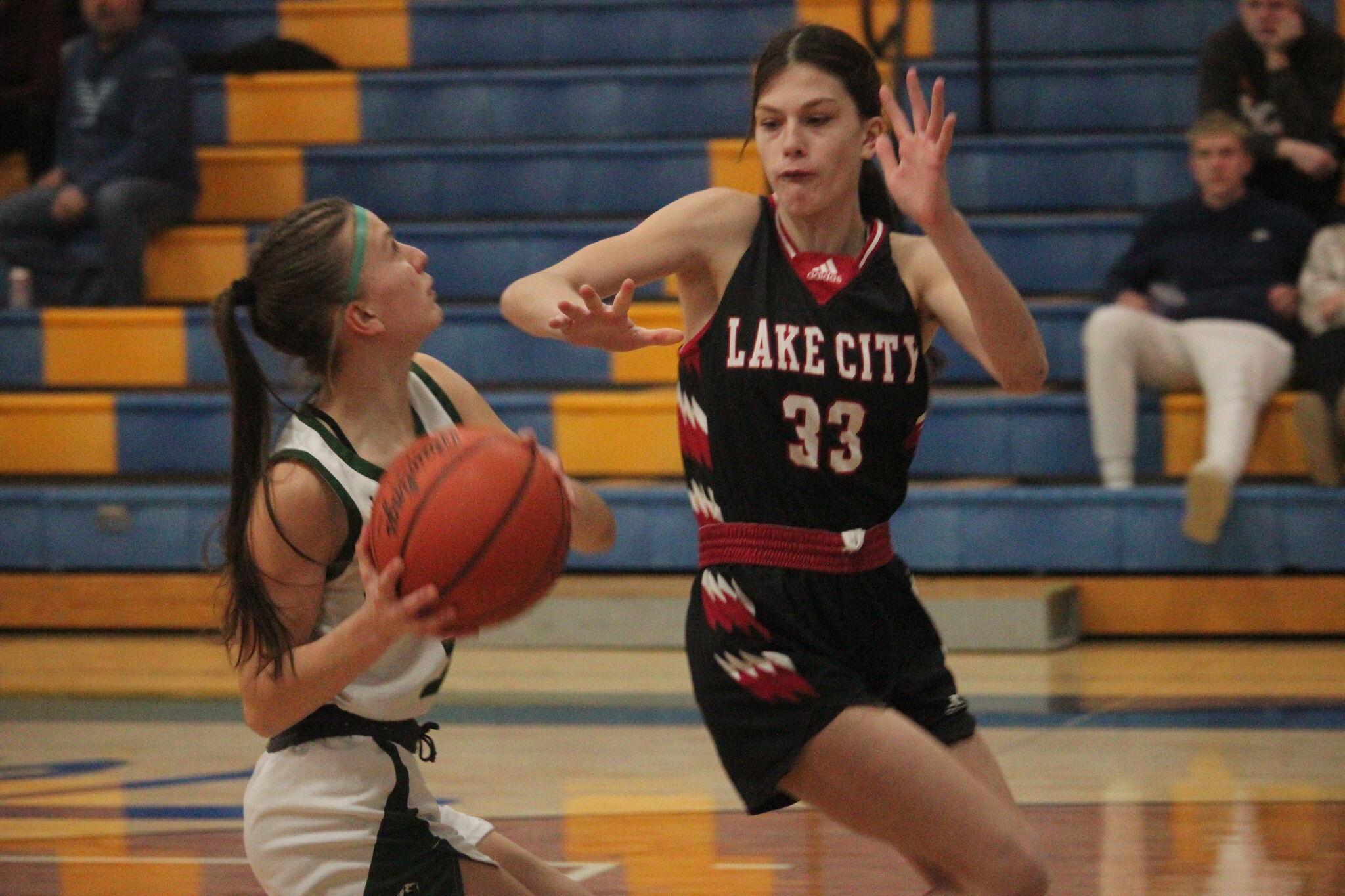 Chippewa Hills, Pine River girls advance