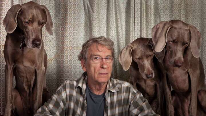 William Wegman’s not-so-secret hockey obsession