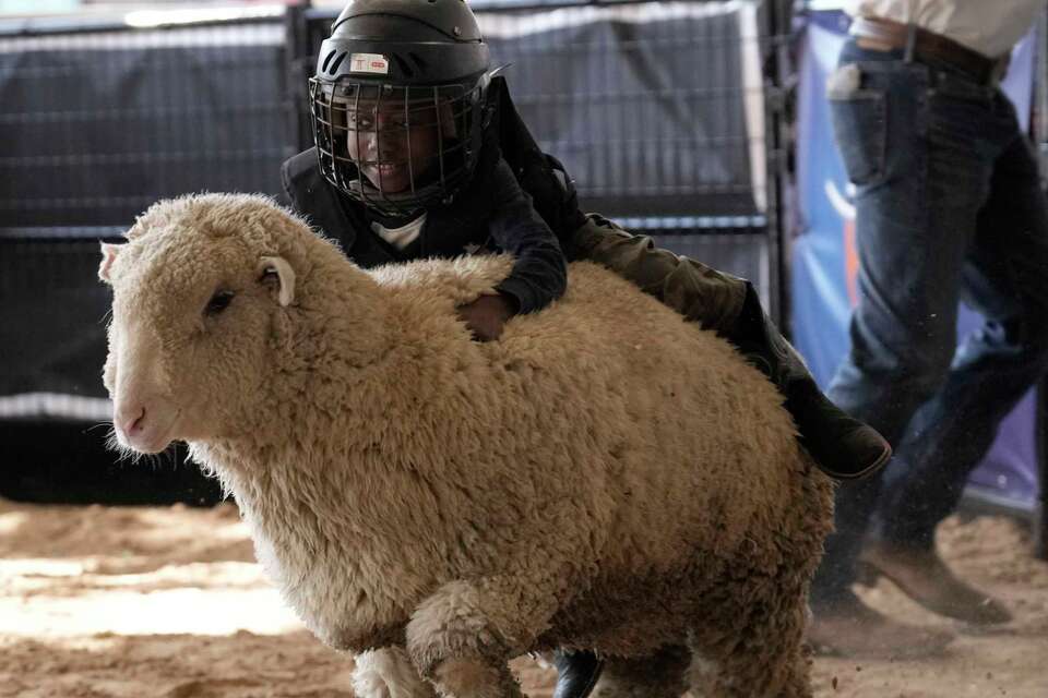 Houston Rodeo's mutton bustin' competition still popular with kids