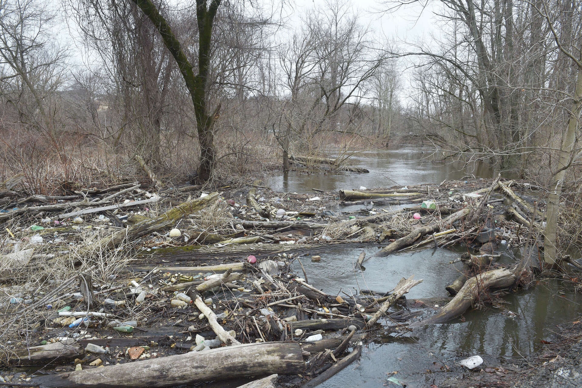 Stew Leonard’s, Danbury car dealership will clear ‘logjam’ of debris