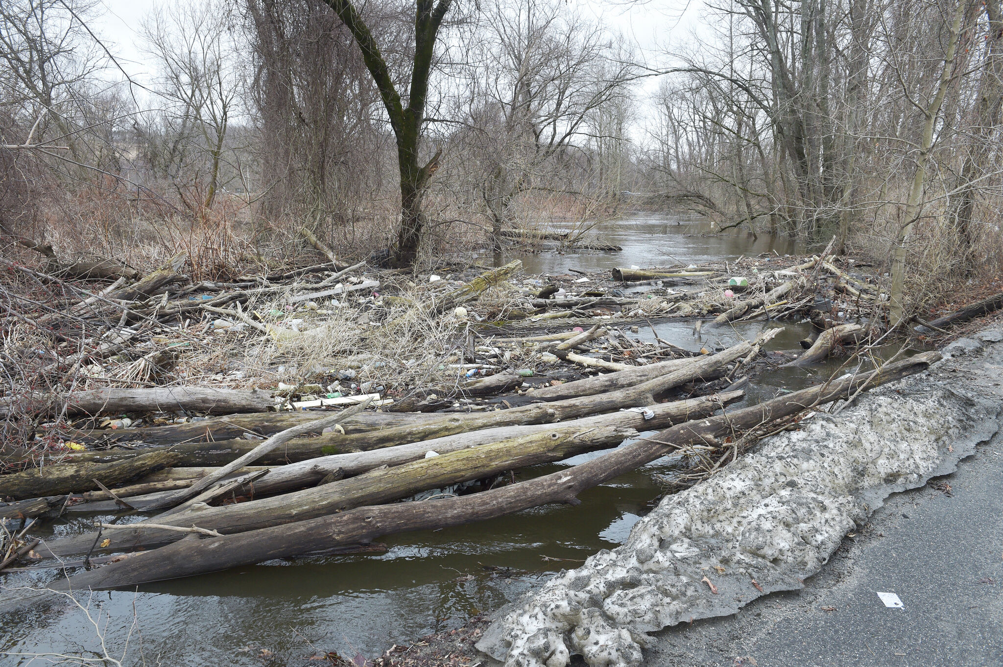 Stew Leonard’s, Danbury car dealership will clear ‘logjam’ of debris