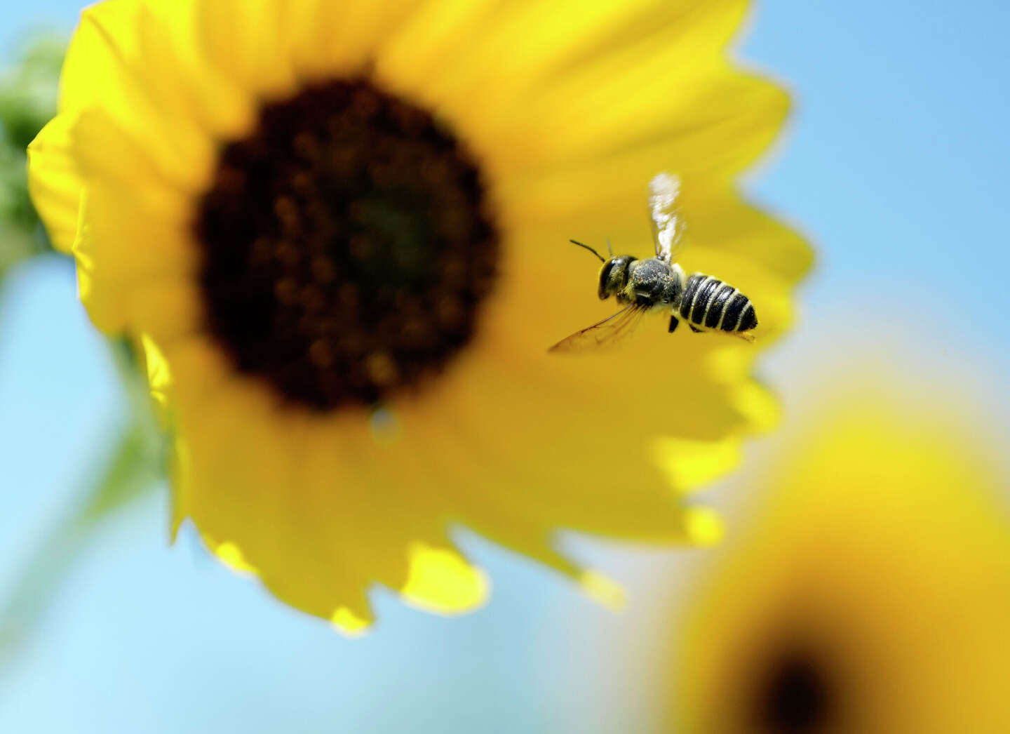When is the spring equinox? Houston has other ways to start spring