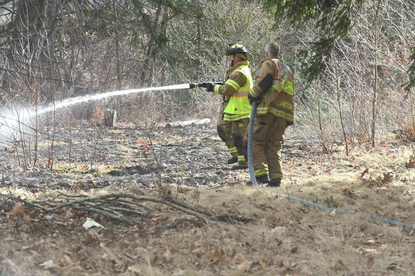 Downed tree on wires causes brush fire on Route 44 in Bolton: Police