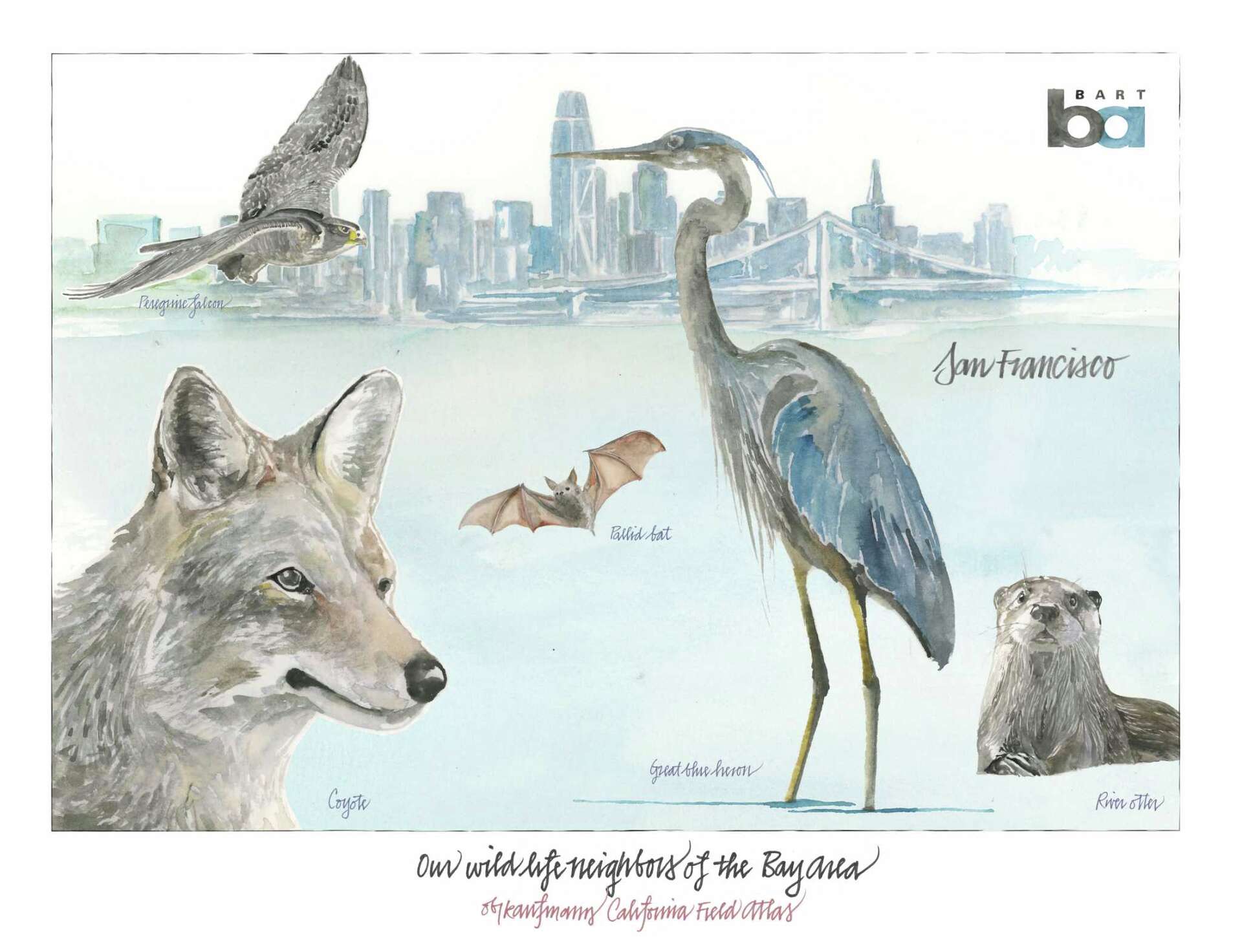 Watercolor posters are replacing advertisements in BART stations. Here