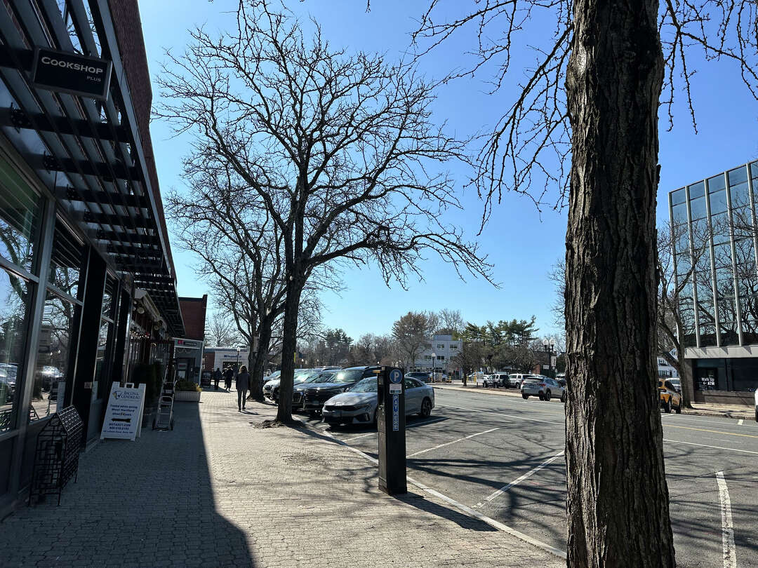 West Hartford Center Trees To Be Removed As Start Of Construction Work