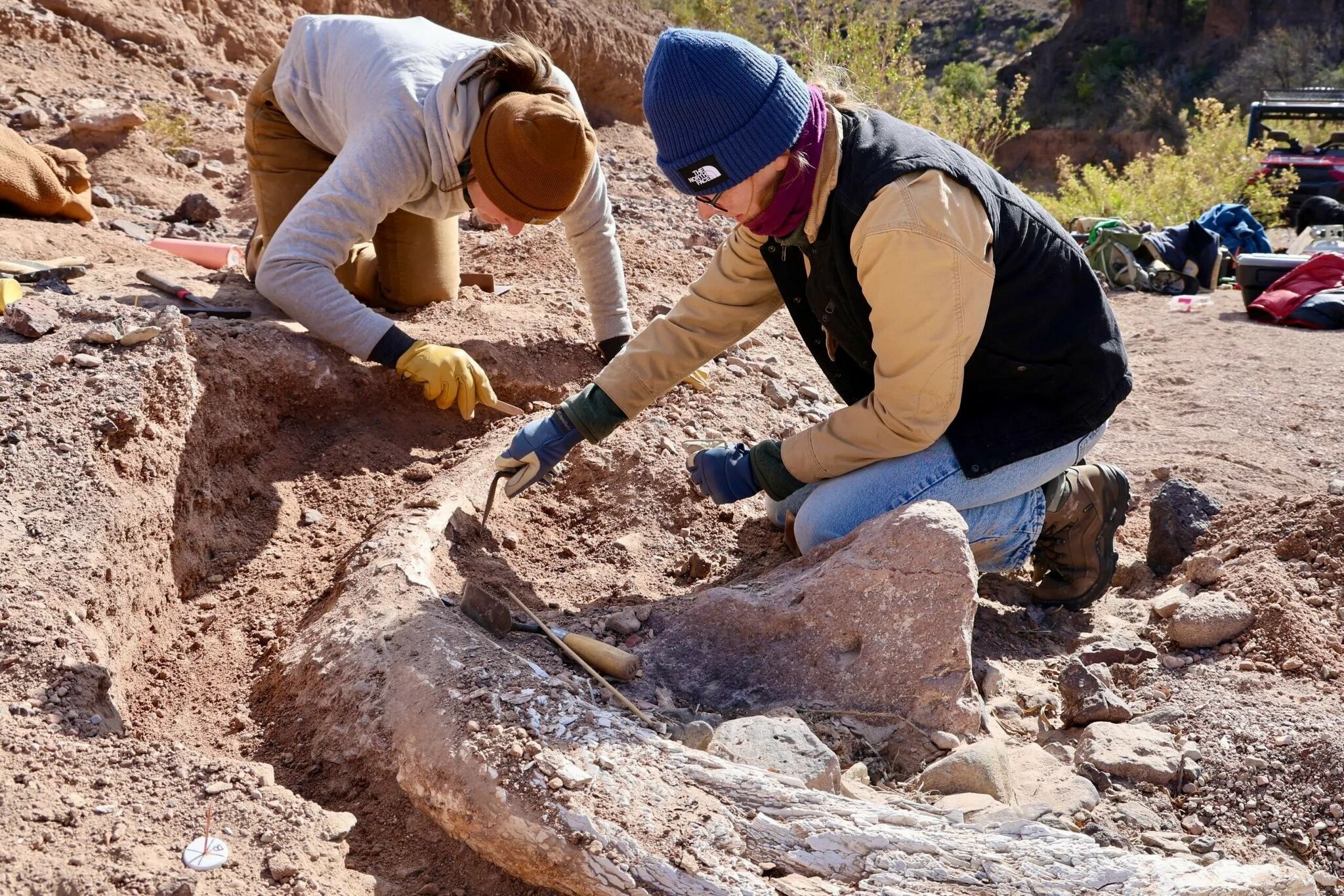 Rare mammoth tusk found on West Texas ranch