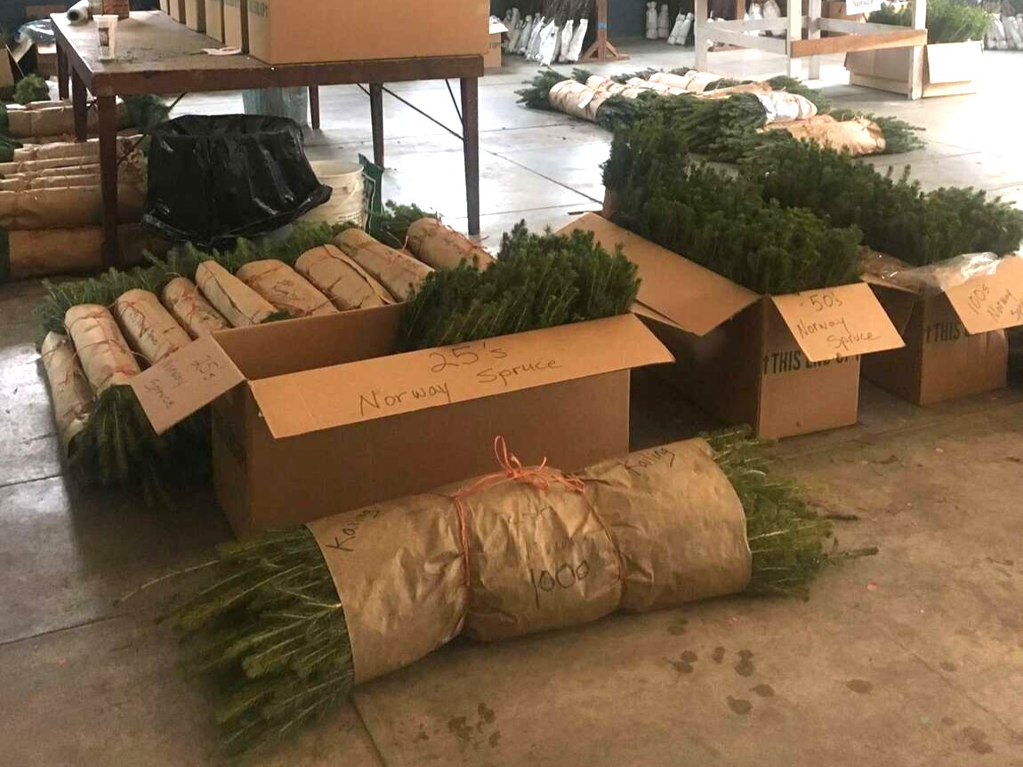 Liaisons at Reed City and Big Rapids schools share resources