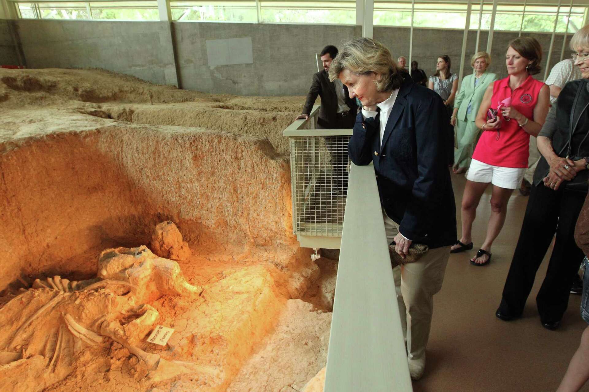 Mammoth tusk found at O2 Ranch in West Texas shocks scholars