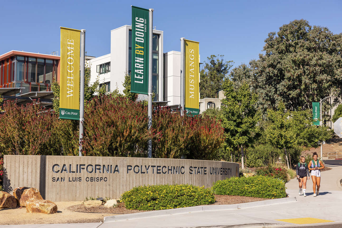 Bay Area high schools with the highest acceptance rates to top CSUs