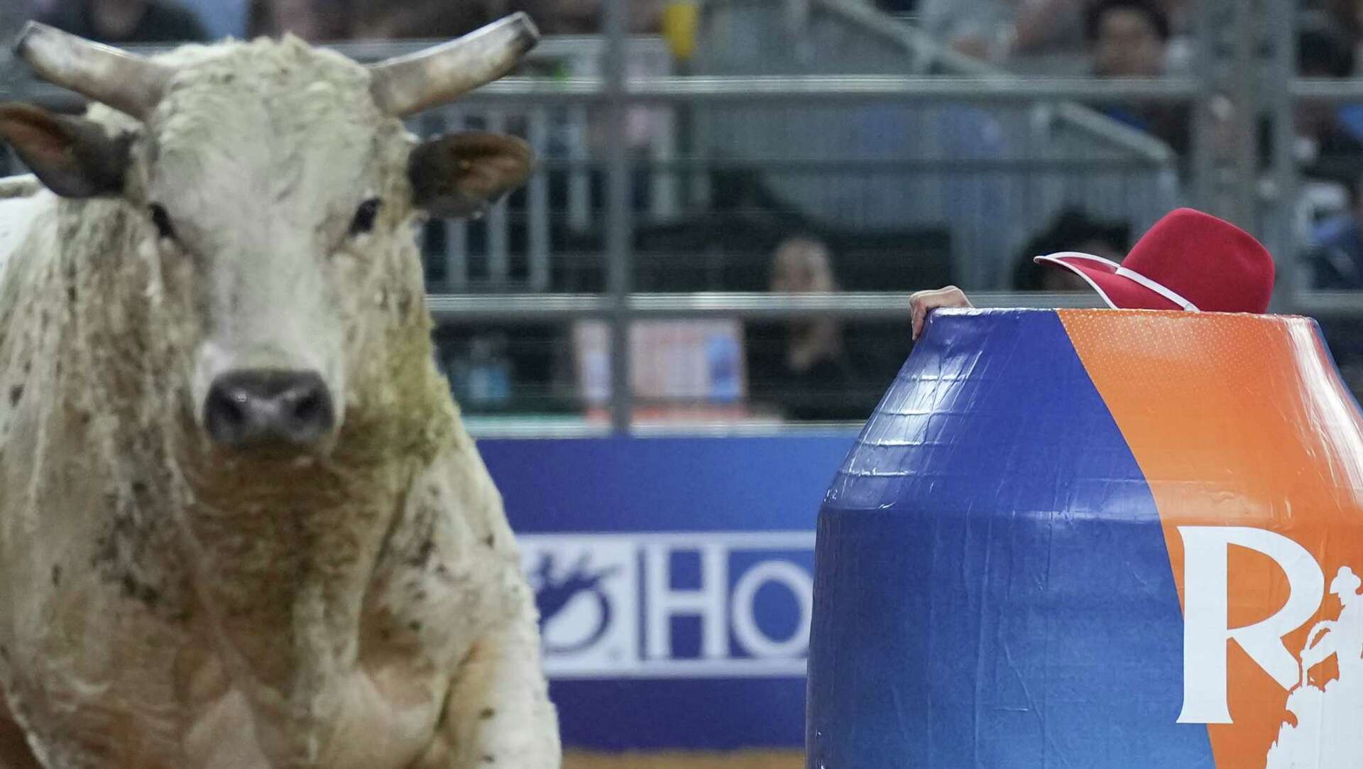 Who is the Houston rodeo's new barrelman? Meet John Harrison