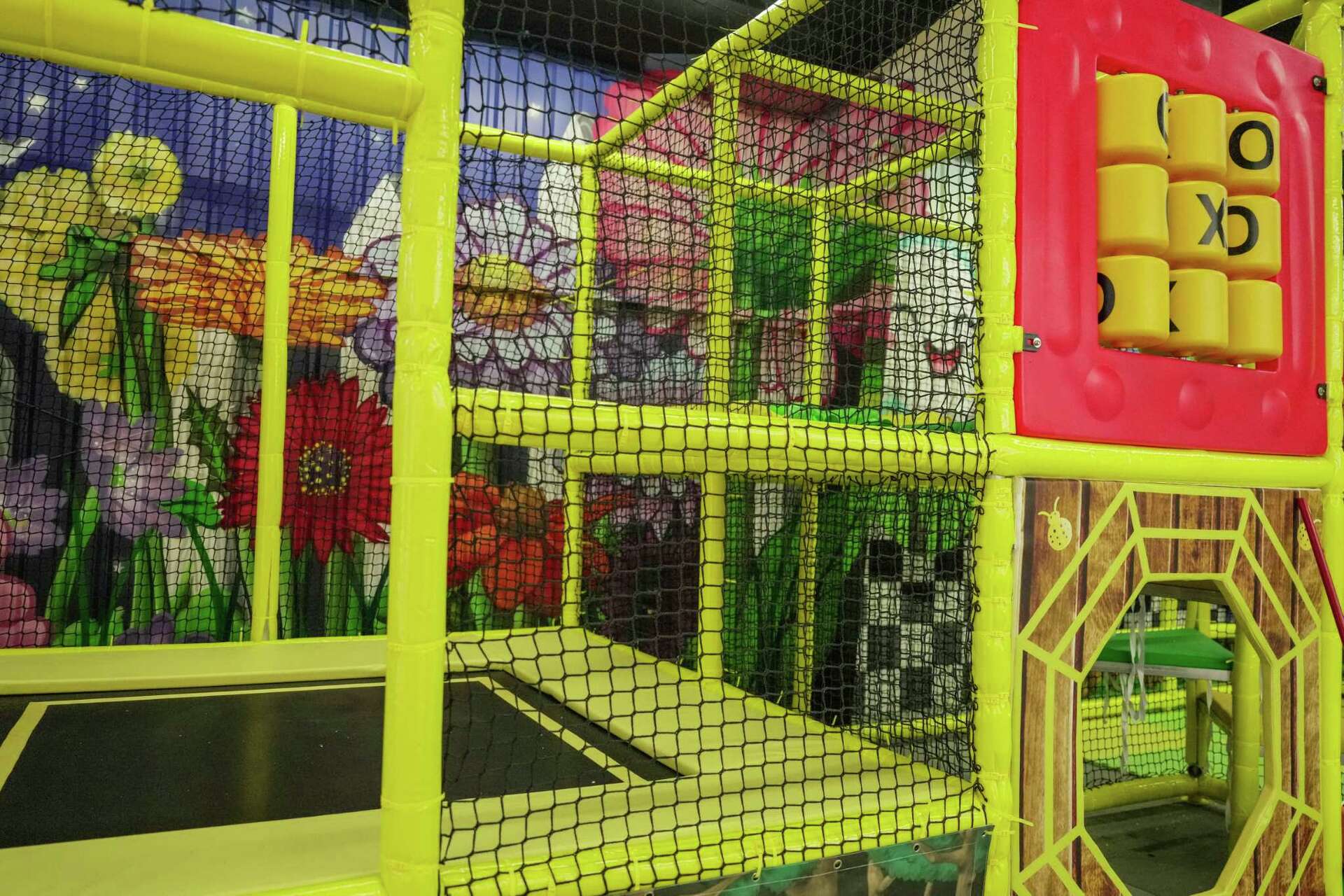 Colossal Museum in the Heights opens in Houston. What to know