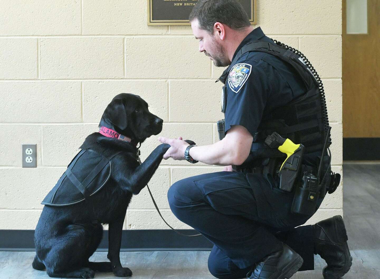 New K-9 member of New Milford police force is trained to offer comfort