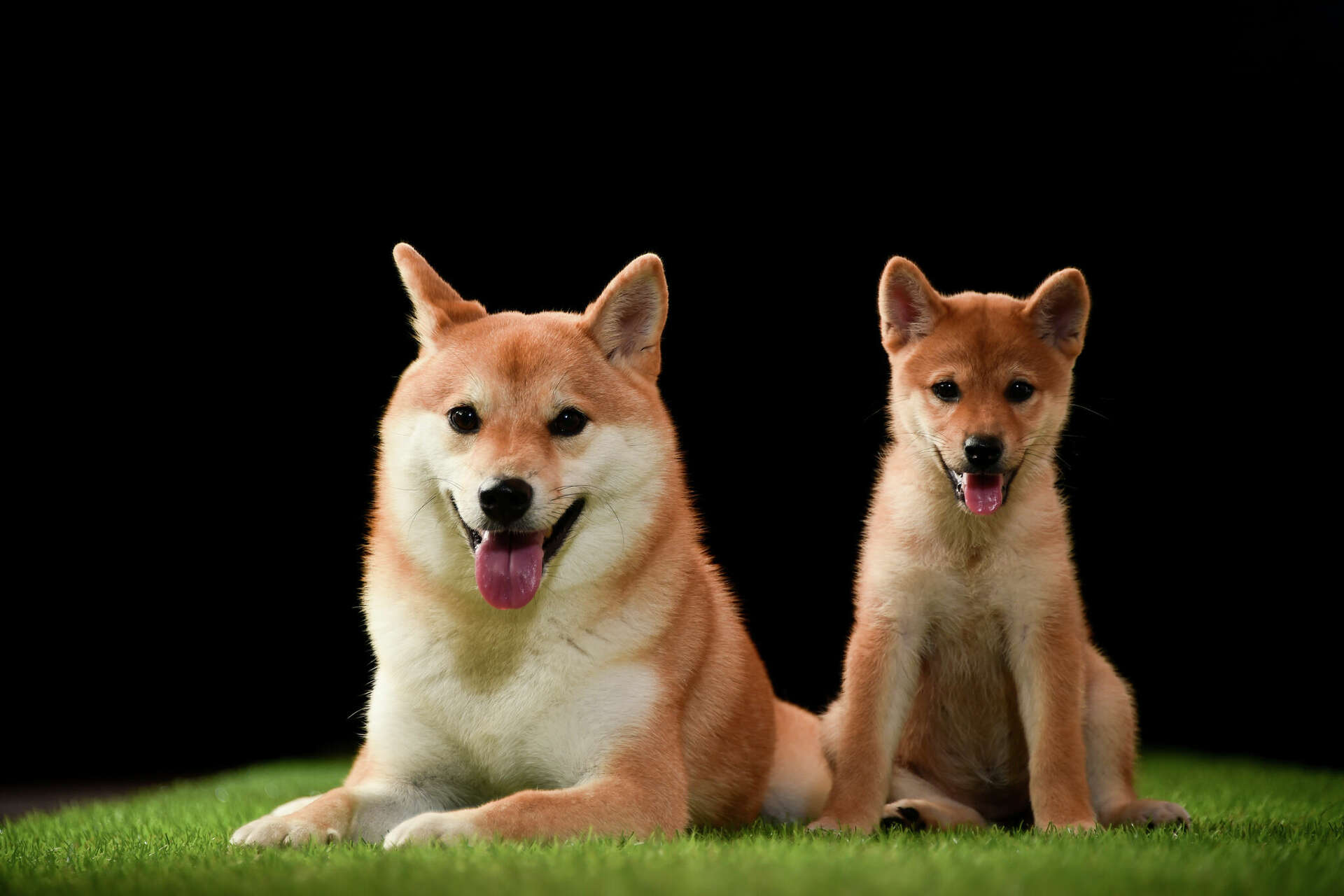 Texas now has its own mini-DOGE. It's an example of government waste.