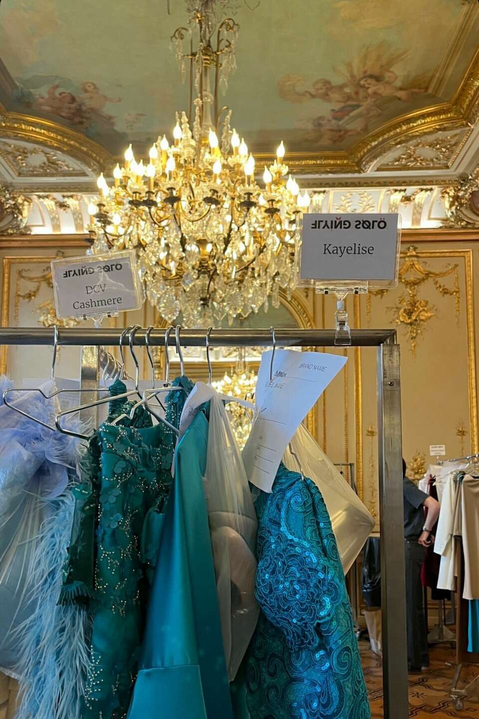 Nika Mühl's assists former UConn teammate Olivia Nelson-Ododa in Paris