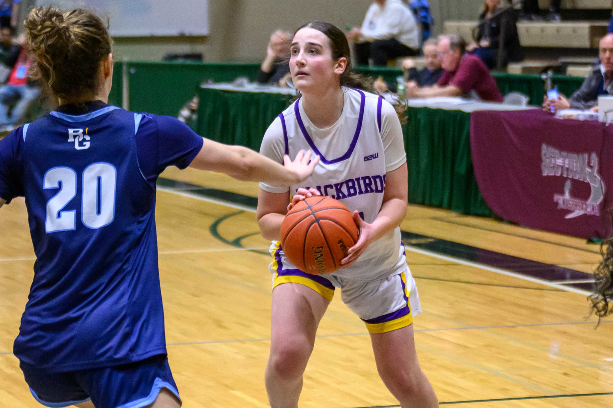 Cold Spring Harbor defeats Voorheesville in state semifinals