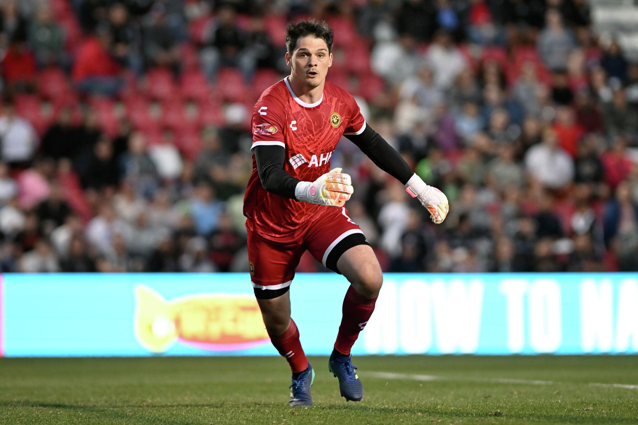 SAFC to face first difficult road test and big crowd in Oakland