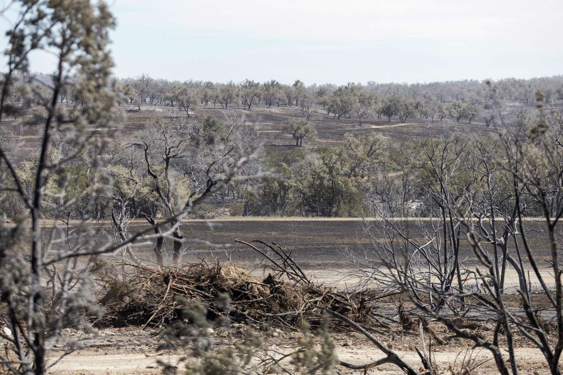 Fire near Fredericksburg destroys 30 buildings; now 85% contained