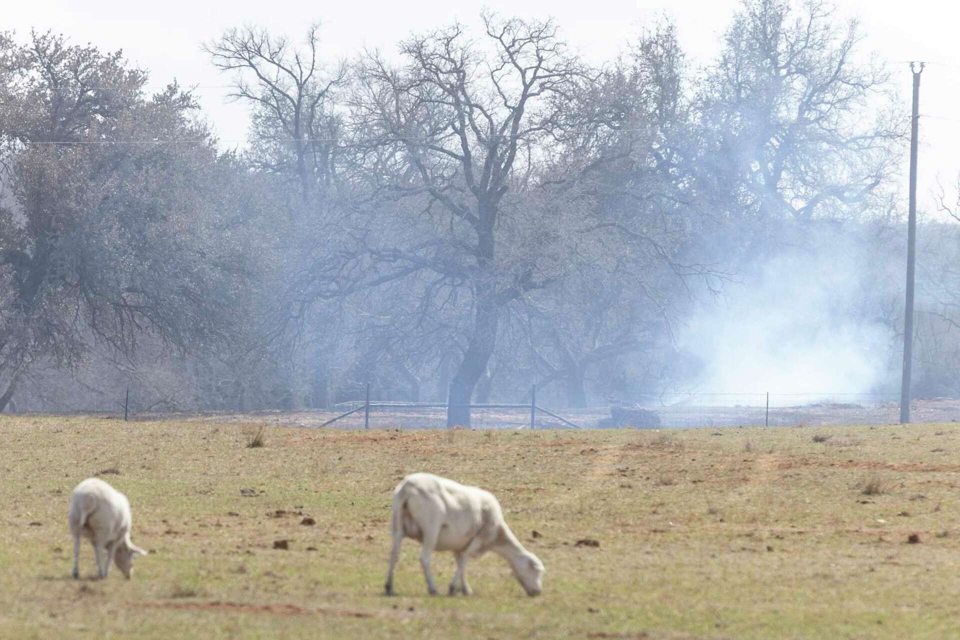 Fire near Fredericksburg destroys 30 buildings; now 85% contained