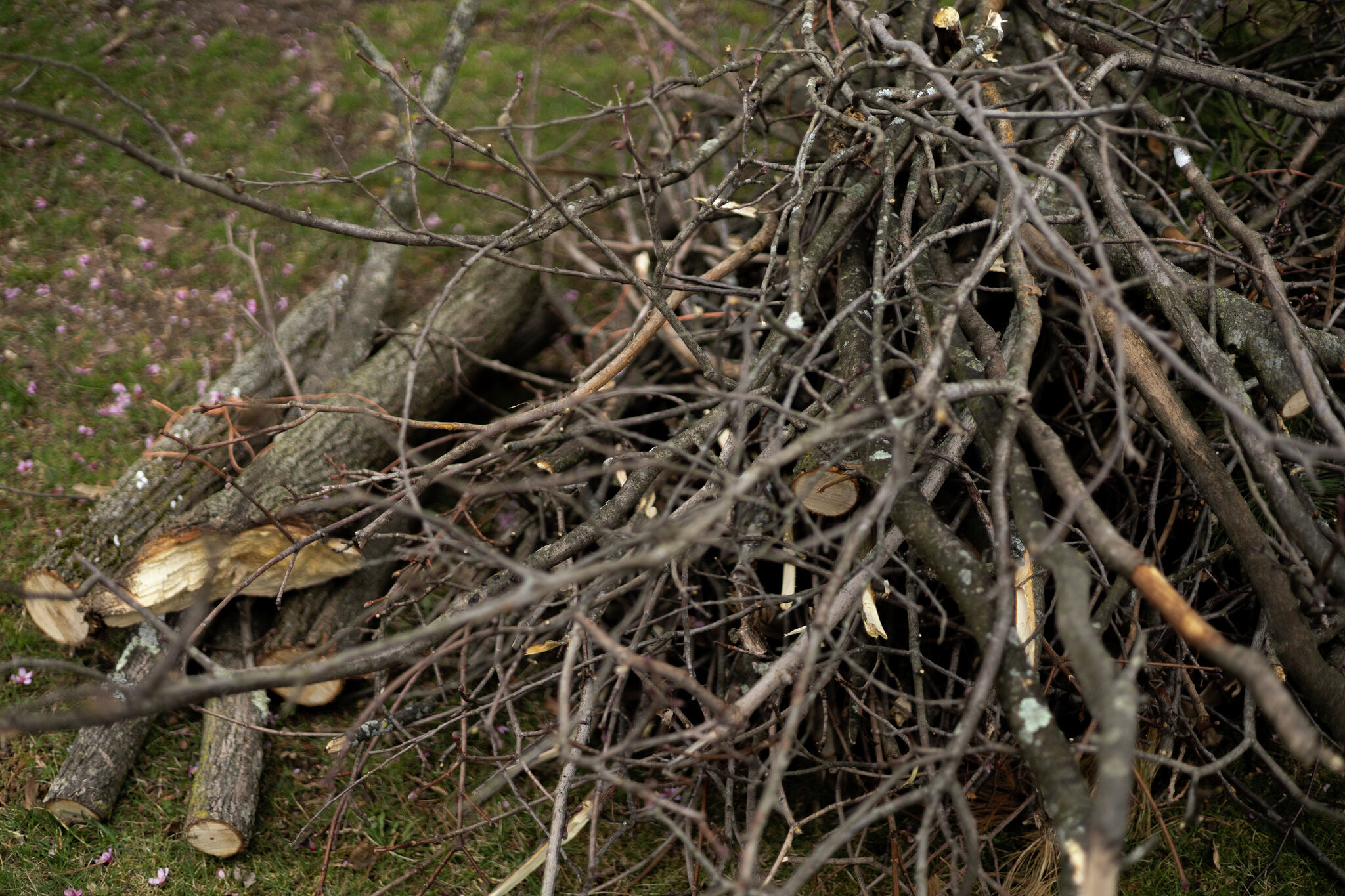 Jerseyville accepting yard debris at burn pit