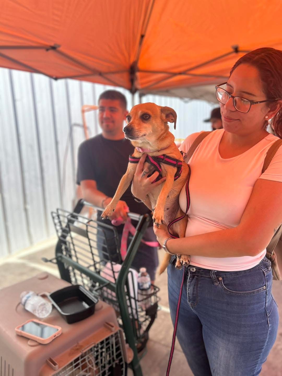 Dr. Ike's and Pets Alive Laredo reunite to offer free dog vaccinations
