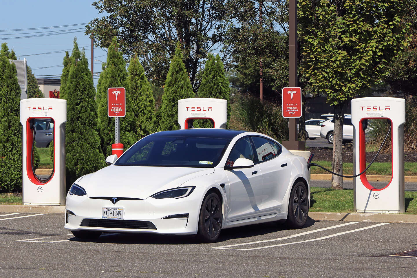 Police arrest Bay Area man accused of keying Tesla amid anti-Musk hate