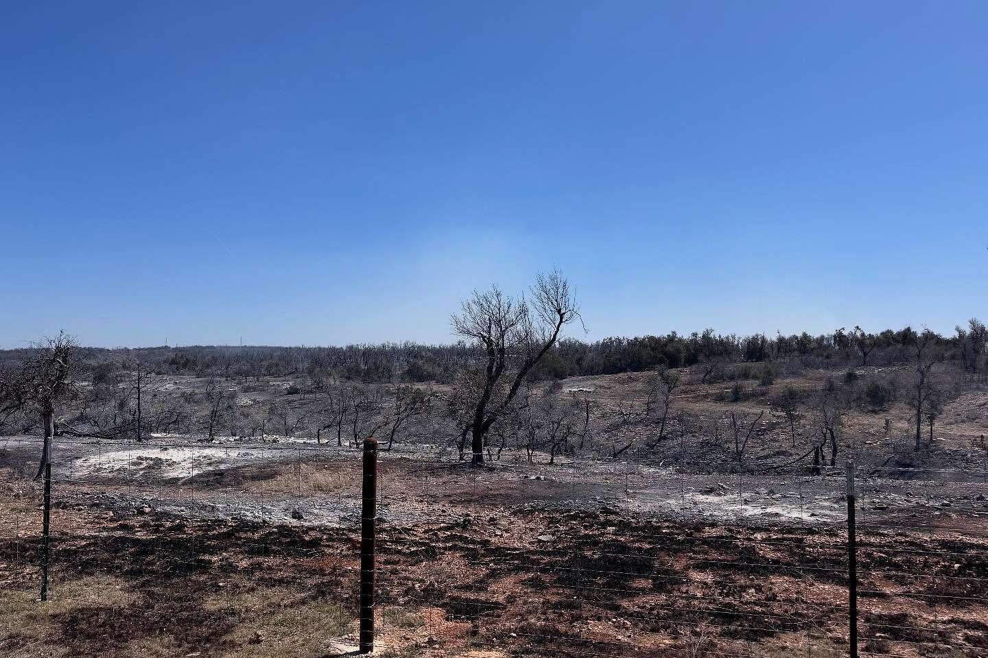 San Antonio local News | mySA.com