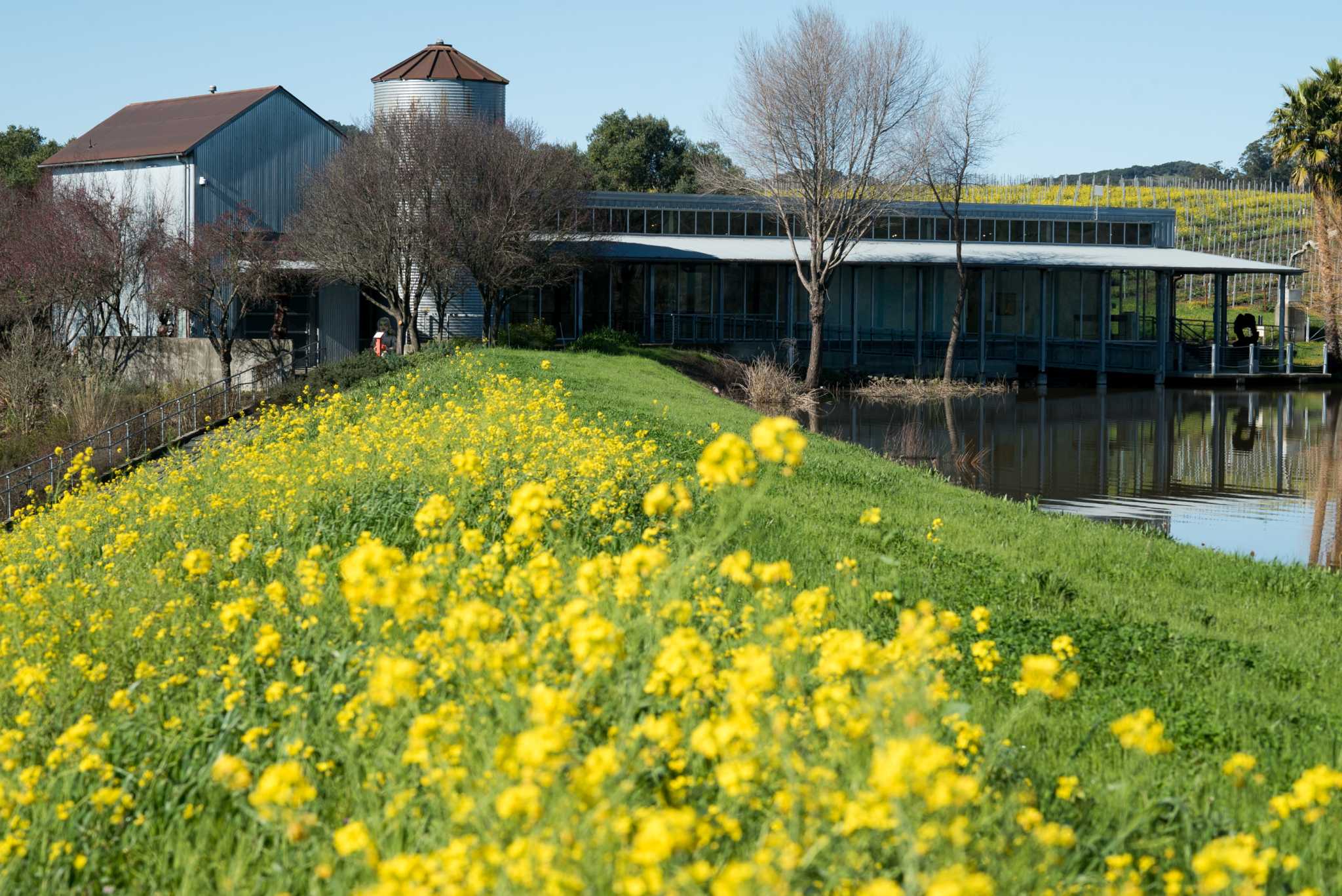 A Napa museum is opening in S.F. while reducing staff