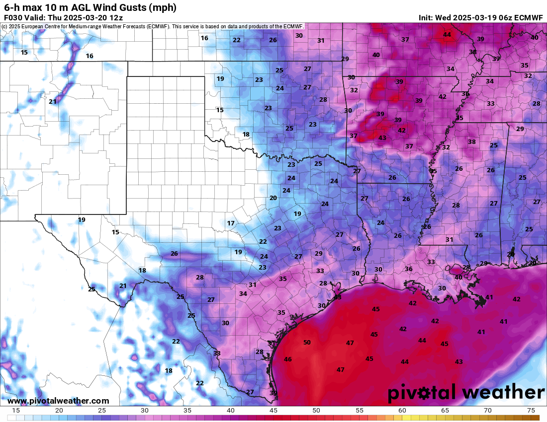 Houston marks first day of spring. But why is it so windy lately?