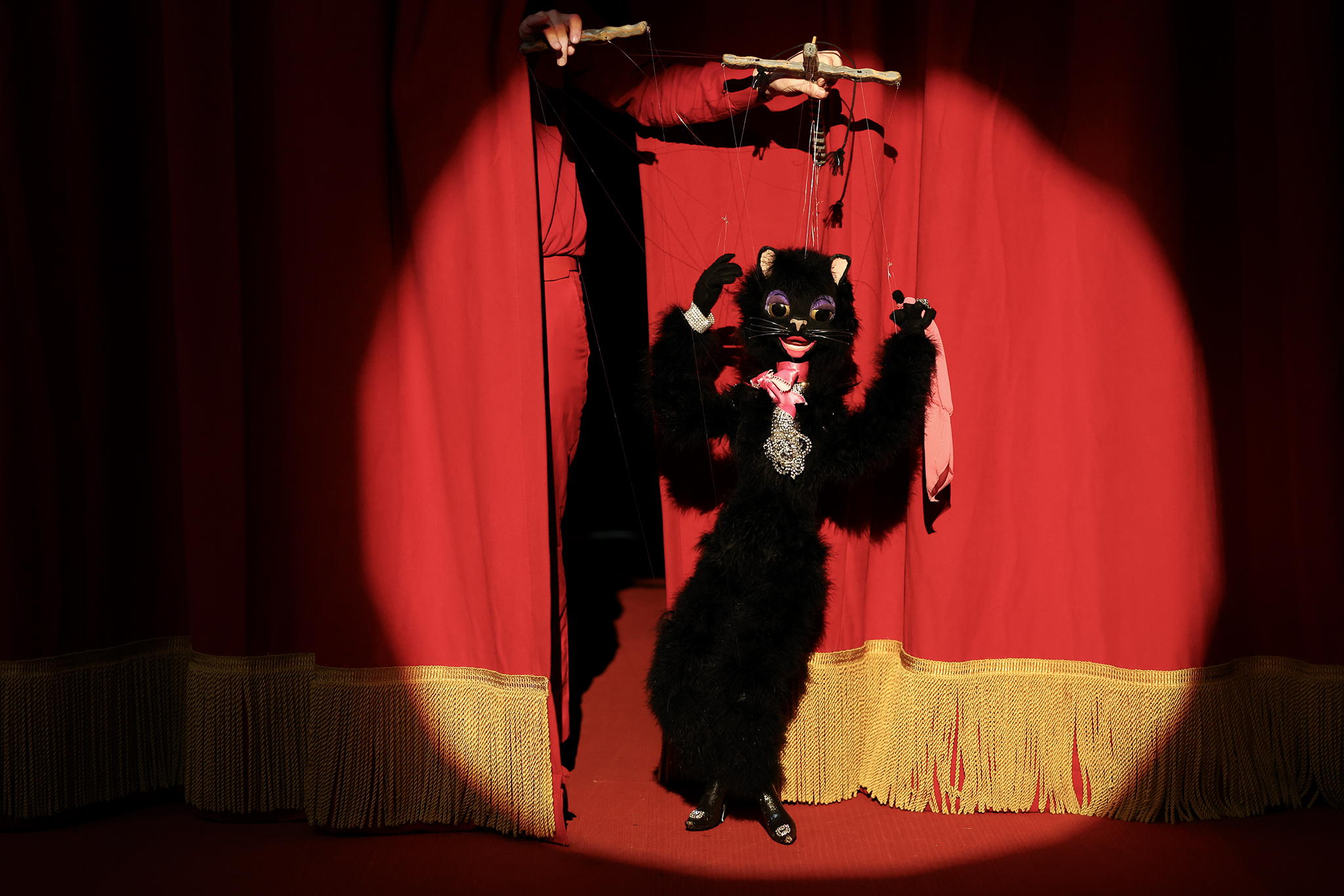As Calif. theaters struggle, this 62-year-old institution thrives